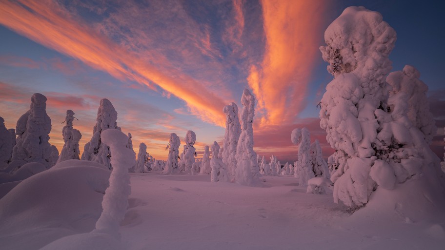 Lapland Arctic Ultra 2022 Route Live Tracking How To Enter lapland-arctic-ultra-2022-route-live-tracking-how-to-enter