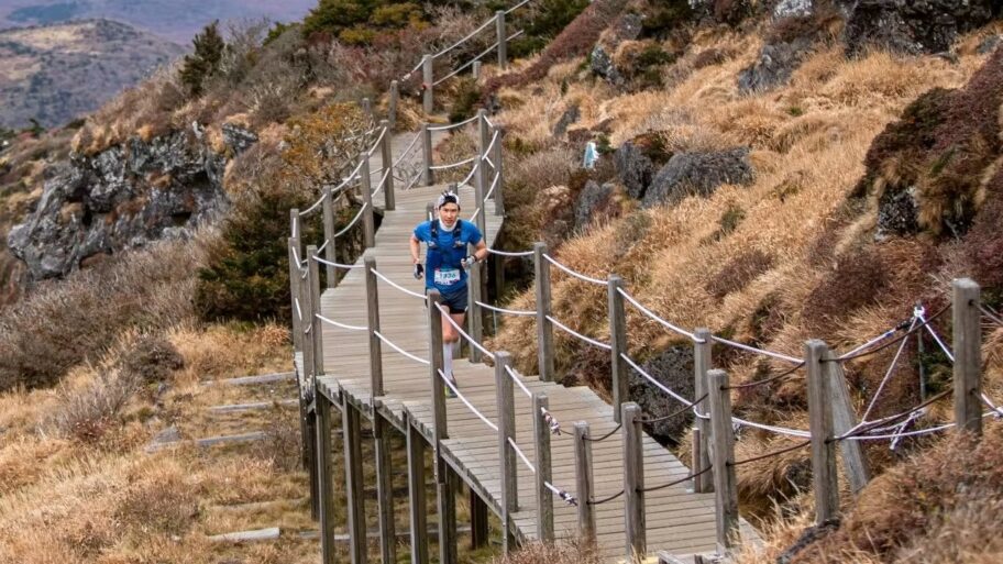 Trans Jeju by UTMB : Route, live tracking & how to enter