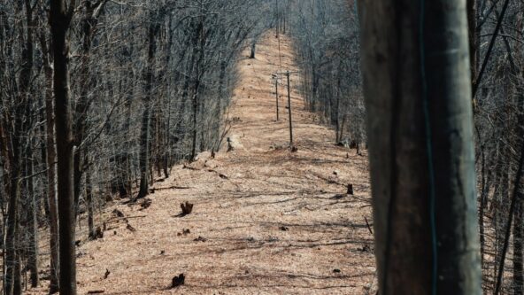 Barkley Marathons 2025: It's a brutal 'massacre' as just FOUR runners ...