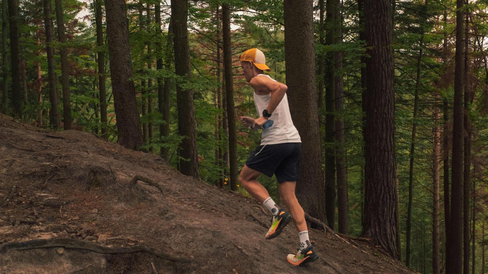 How to Start Trail Running Safely as A Beginner? | Guides | RUN247